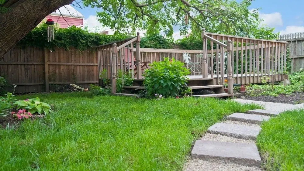 Paisajes Patios Aptos Para Perros